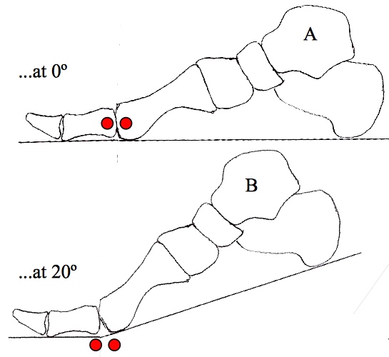 Great Toe Mobility : The Linchpin to Movement Longevity | (Part 1 ...